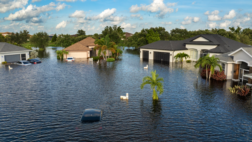 perfect disaster flood